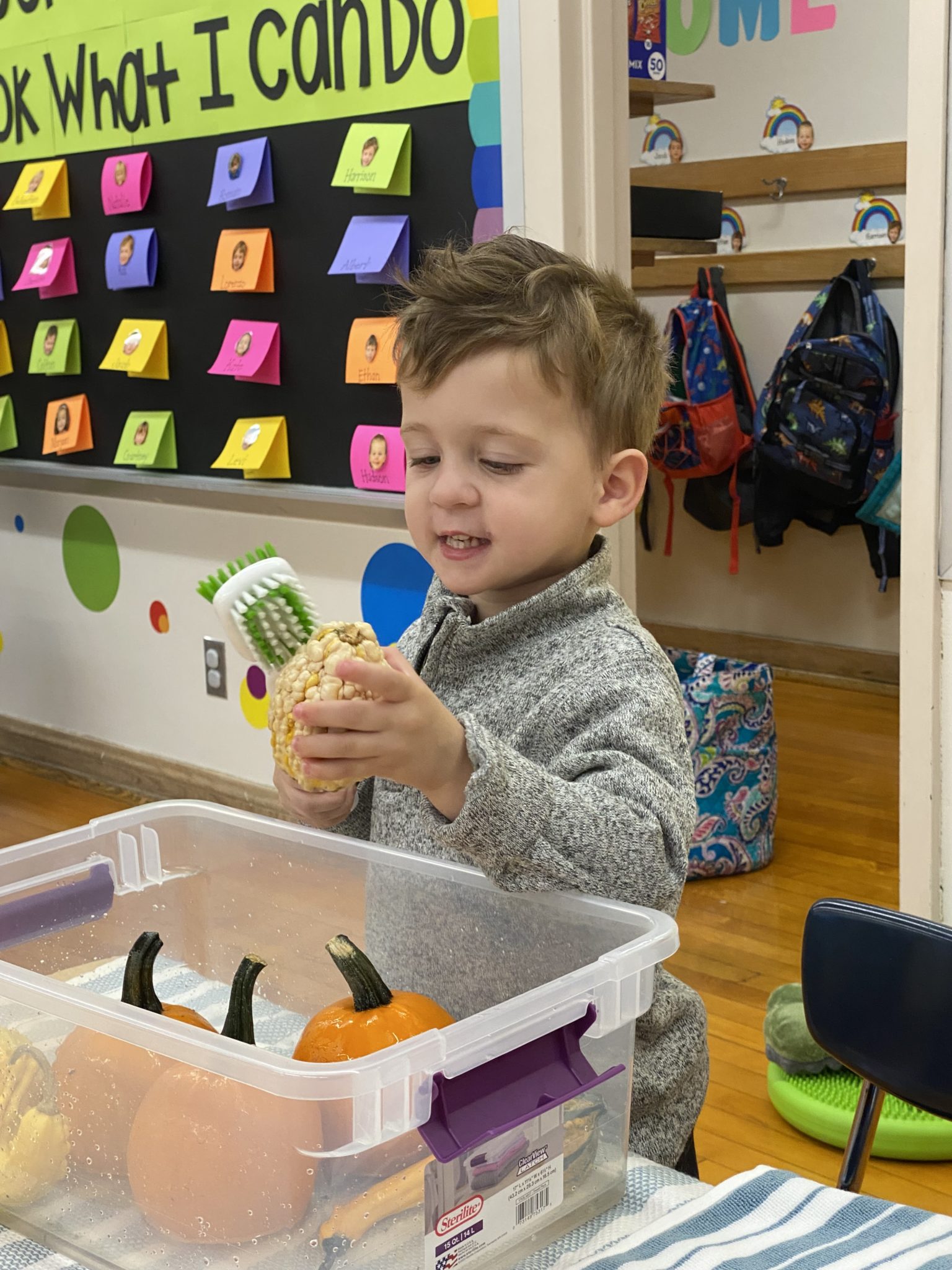 Northmore Nursery School – We plant the seeds to sow as we watch them ...